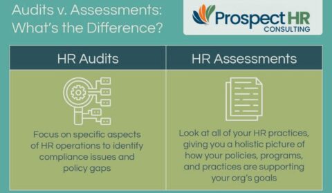 HR Assessments: A Key Element of Your Org’s HR Success - ProspectHR ...