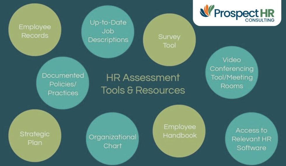 HR Assessments: A Key Element of Your Org’s HR Success - ProspectHR ...